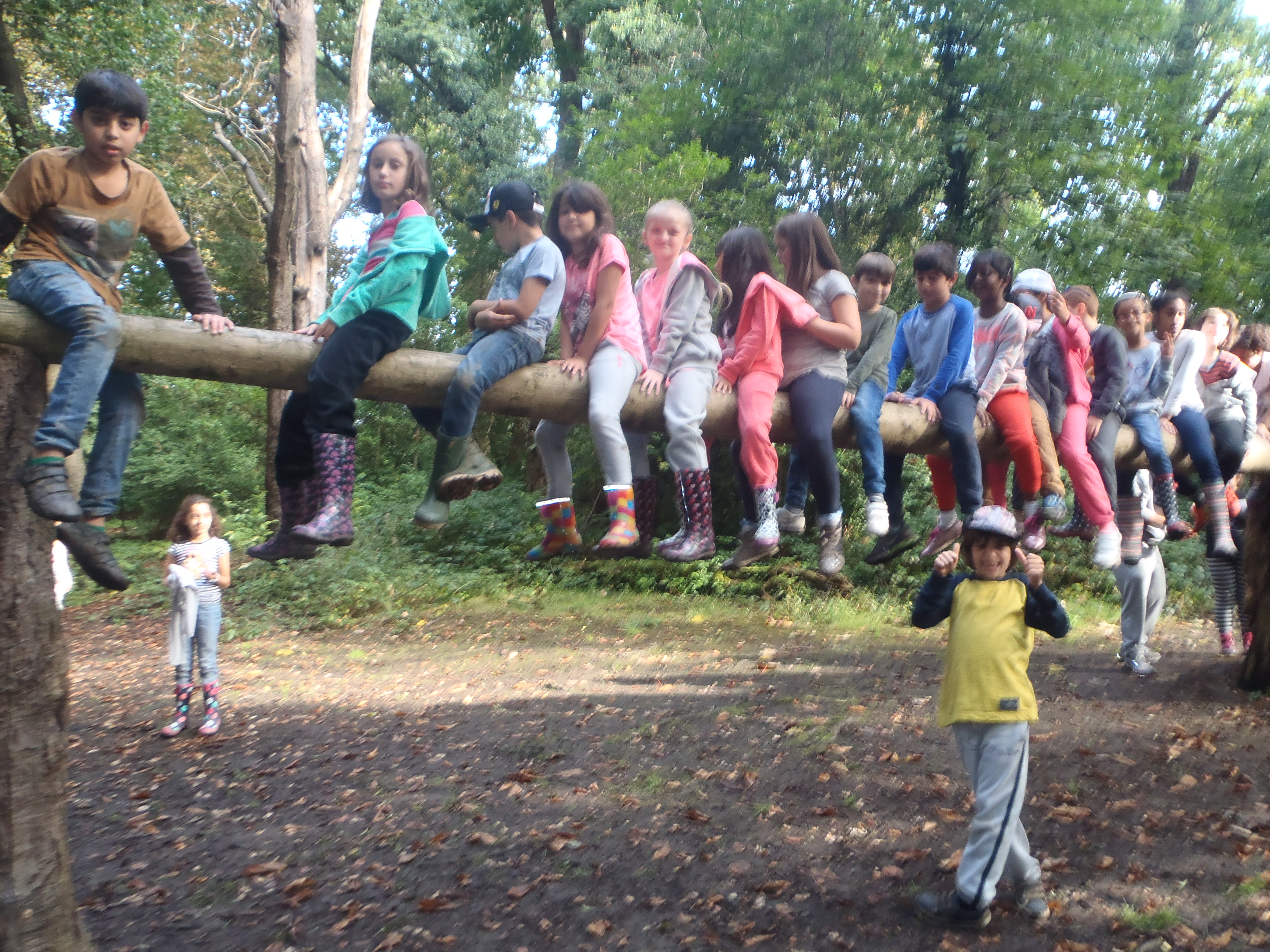 Monkfrith Primary School