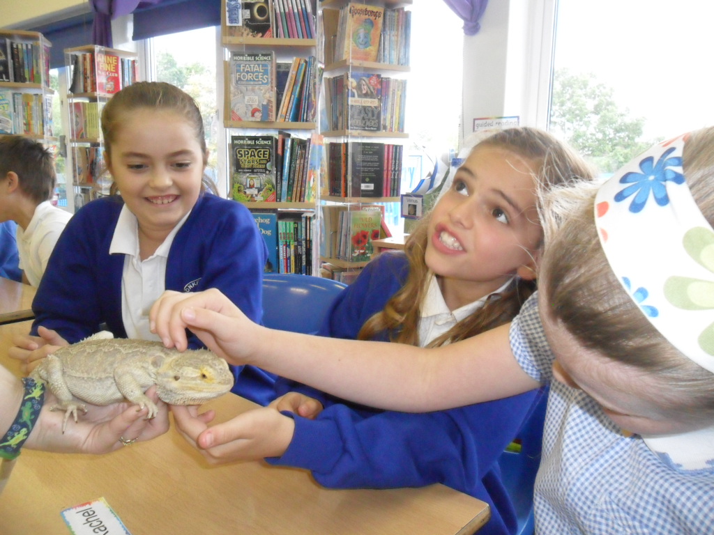 SAM_0023 | Monkfrith Primary School